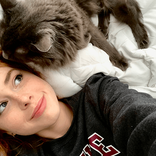 Meet the NEKO Team | NEKO: A Cat Cafe | SIP THE DRINKS. PET THE CATS ...